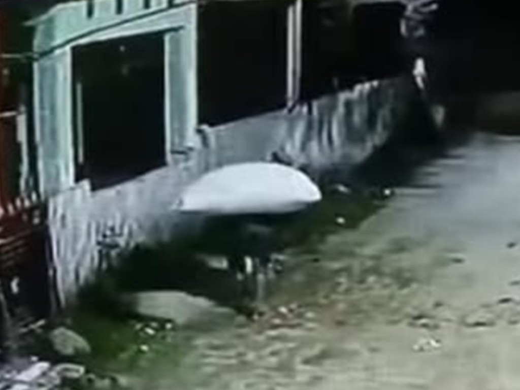 Aksi Pencurian Satu Karung Cengkeh di Bulukumba Terekam CCTV Aksi Pencurian Satu Karung Cengkeh di Bulukumba Terekam CCTV