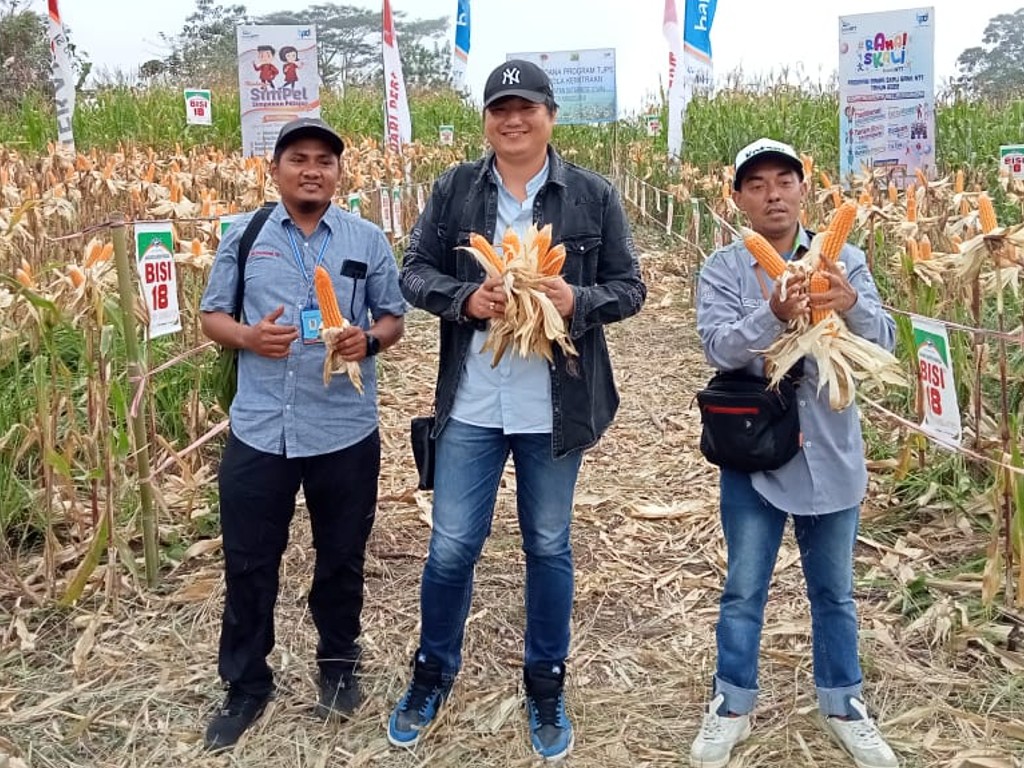 Elvis Angliwarman: Petani Pemula TJPS di Desa Nao Luar Biasa Elvis Angliwarman: Petani Pemula TJPS di Desa Nao Luar Biasa